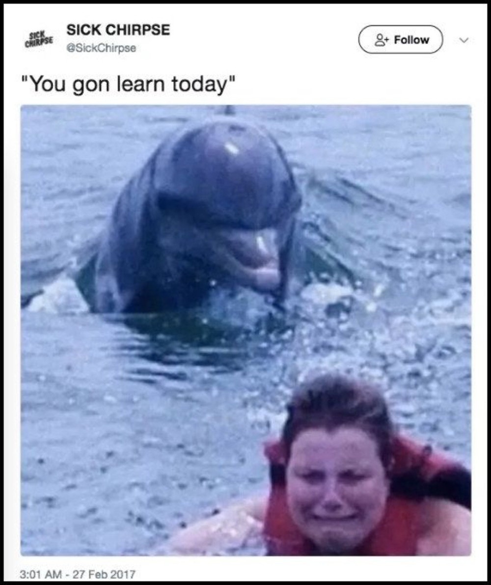 Page 1 of comments at Juicy memes with light acidic undertones