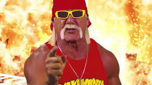 NOT HULKAMANIA BROTHER THE HULKSTER IS EVERYWHERE NOW WHATCHU GONNA ...