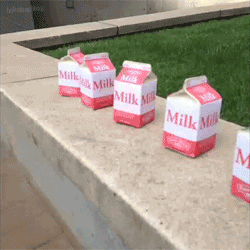 milk