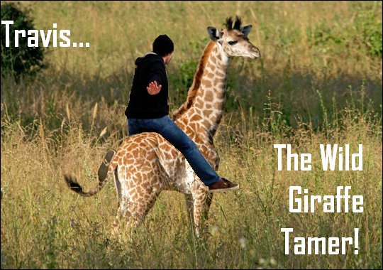 giraffe tamer