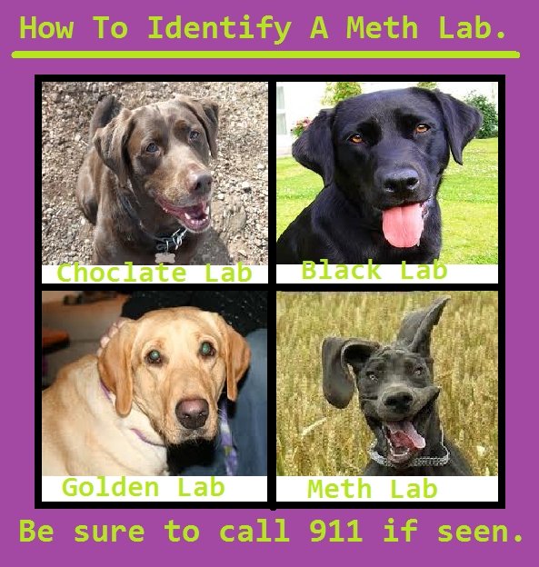 Meth Lab.