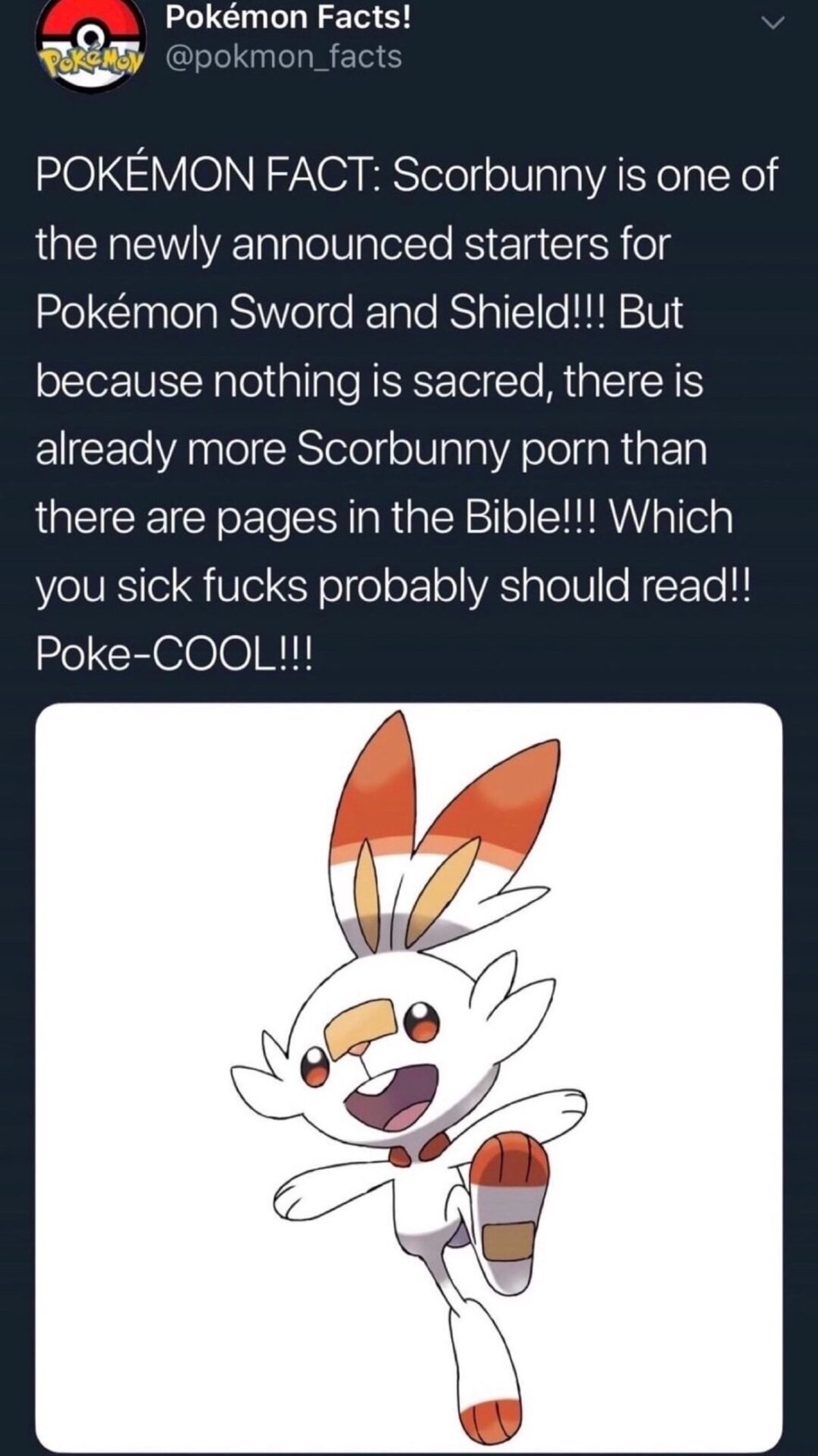 Scorbunny