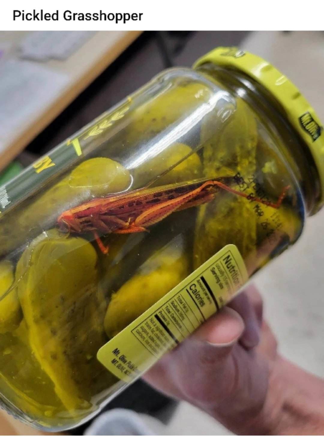 pickles: pickles: pickles