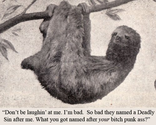 Sloths are Badass
