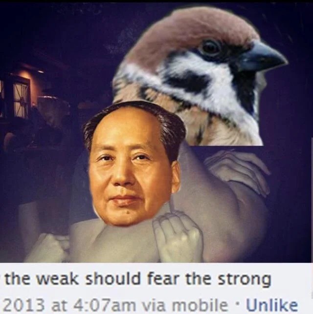 Weak weak